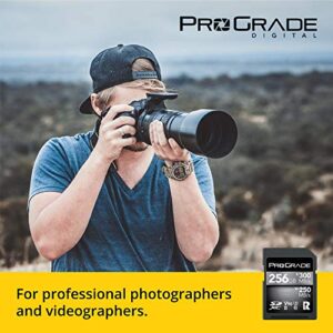 ProGrade Digital SDXC UHS-II V90 300R Memory Card (256GB)