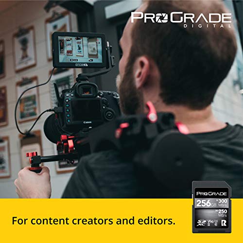 ProGrade Digital SDXC UHS-II V90 300R Memory Card (256GB)