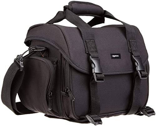 Amazon Basics Large DSLR Gadget Bag (Gray interior)