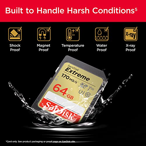 SanDisk 64GB Extreme SDXC UHS-I Memory Card - C10, U3, V30, 4K, UHD, SD Card - SDSDXV2-064G-GNCIN