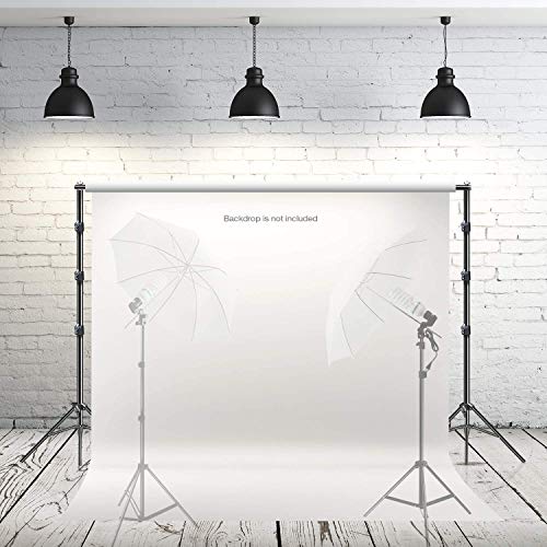 Julius Studio Photo Video Studio 10 x 9.6 feet (W x H) Length Adjustable Muslin Background Backdrop Support System, Backdrop Stand with Carry Bag, JSAG505