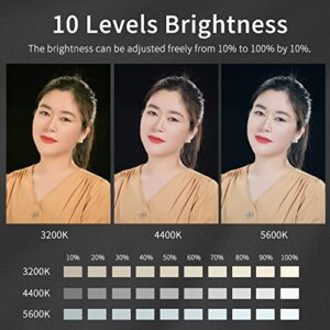 King Ma Selfie Light for Video Conferencing Lighting, LED Video Clip Light Portable Phone Ring Light Streaming Filming Light for YouTube, Zoom Meetings, TikTok Live Streaming, Makeup