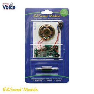 EZSound Module - Push Button Activated - Easy to Record - 120 Seconds Recording - High Sound Quality