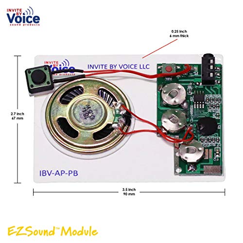 EZSound Module - Push Button Activated - Easy to Record - 120 Seconds Recording - High Sound Quality