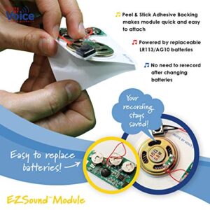 EZSound Module - Push Button Activated - Easy to Record - 120 Seconds Recording - High Sound Quality