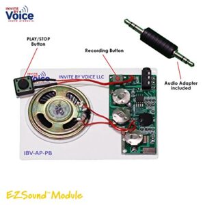 EZSound Module - Push Button Activated - Easy to Record - 120 Seconds Recording - High Sound Quality