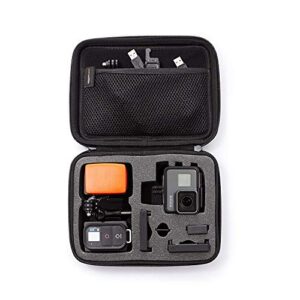 amazon basics small carrying case for gopro and accessories – 9 x 7 x 2.5 inches, black