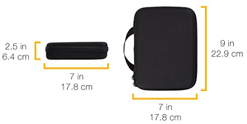 Amazon Basics Small Carrying Case for GoPro And Accessories - 9 x 7 x 2.5 Inches, Black