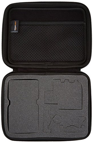 Amazon Basics Small Carrying Case for GoPro And Accessories - 9 x 7 x 2.5 Inches, Black