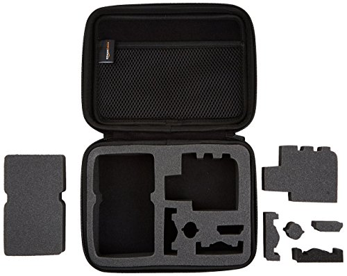 Amazon Basics Small Carrying Case for GoPro And Accessories - 9 x 7 x 2.5 Inches, Black