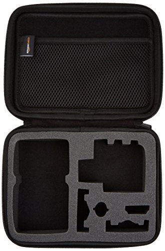 Amazon Basics Small Carrying Case for GoPro And Accessories - 9 x 7 x 2.5 Inches, Black