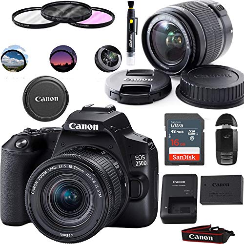 EOS 250D DSLR Camera with EF-S 18-55mm Lens - Basic Accessories Bundle (International Version) (Renewed)