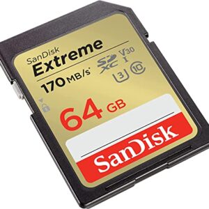 SanDisk 64GB Extreme Memory Card works with Canon EOS Rebel SL2, T6, T6i, T5i EF-S, EOS 80D, Powershot Camera SDXC 4K V30 UHS-I (SDSDXVE-064G-GNCIN) with Everything But Stromboli Combo Reader