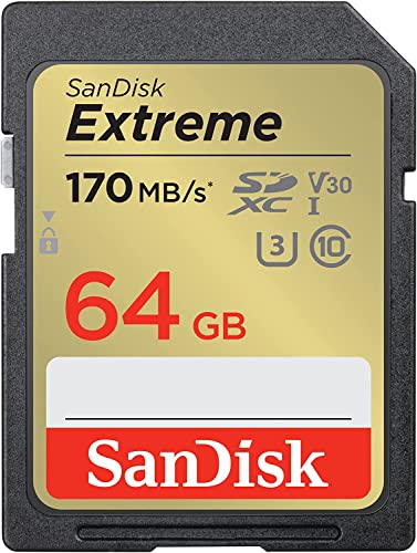 SanDisk 64GB Extreme Memory Card works with Canon EOS Rebel SL2, T6, T6i, T5i EF-S, EOS 80D, Powershot Camera SDXC 4K V30 UHS-I (SDSDXVE-064G-GNCIN) with Everything But Stromboli Combo Reader