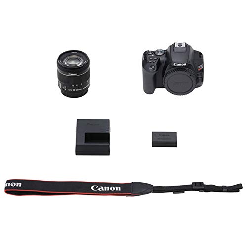 Canon EOS Rebel SL3 DSLR Camera Bundle with Canon EF-S 18-55mm f/4-5.6 is STM Lens + 2pc SanDisk 32GB Memory Cards + Professional Kit