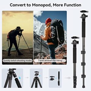 SmallRig 54" Lightweight Compact Carbon Fiber Tripod with Detachable Monopod, 360° Ball Head, Quick Release Plate, Load up to 26.5 lbs/12 kg, for Canon for Sony, DSLR Camera, Phone, Camcorder-4060