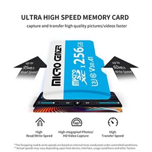 Micro Center Premium 256GB microSDXC Card, Nintendo-Switch Compatible Micro SD Card, UHS-I C10 U3 V30 4K UHD Video A1 Flash Memory Card with Adapter (256GB)