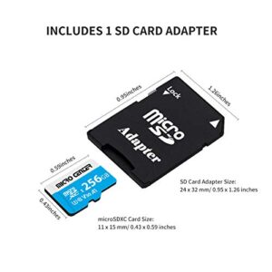 Micro Center Premium 256GB microSDXC Card, Nintendo-Switch Compatible Micro SD Card, UHS-I C10 U3 V30 4K UHD Video A1 Flash Memory Card with Adapter (256GB)