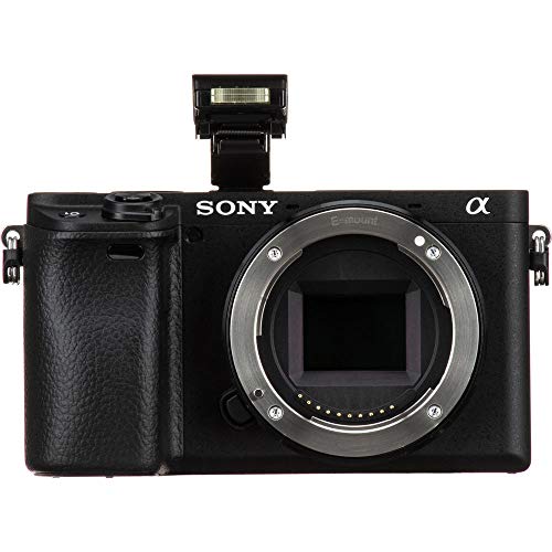 Sony Alpha a6400 Mirrorless Digital Camera with 16-50mm Lens + 32GB Memory Card, Sturdy Equipment Carrying Case, Spider Tripod, Software Kit and More