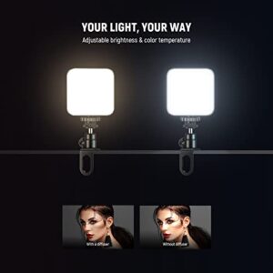 NEEWER Clip On Light Selfie Light for Phone/Laptop, Portable Camera Light with Cold Shoe, 2500K-10000K/3000mAh Rechargeable/LED Video Fill Light for Content Creator, TikTok, Vlog, Photography, PL81