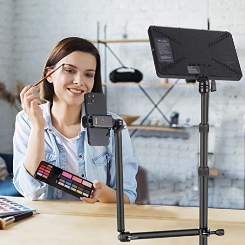 PICTRON VIJIM LS11 Camera Mount Desk Stand with Auxiliary Holding Arm, Flexible Overhead Camera Mount, Webcam Table C-Clamp Multi Mount for Photography Videography Live Stream