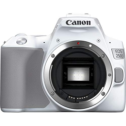 Canon EOS 250D / Rebel SL3 DSLR Camera (Body Only) + (White) 64GB Memory Card + LPE17 Battery + External Charger + Card Reader + Corel Photo Software + Case + Flex Tripod + More (Renewed)