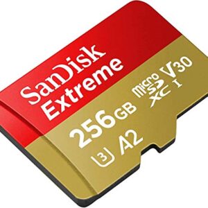 SanDisk Extreme (UHS-1 U3 / V30) A2 256GB MicroSD (2 Pack) Memory Card for GoPro Hero 9 Black Action Cam Hero9 SDXC (SDSQXA1-256G-GN6MN) Bundle with (1) Everything But Stromboli Micro SD Card Reader