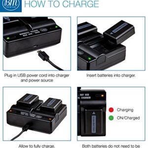 BM Premium 2 Batteries and Dual Bay Charger for Sony ZV-E10, A7 II, A6100, A6400, DSC-RX10 IV, DSC-RX10 II, RX10 III, Alpha 7, Alpha 7R, a7, a7R, A7s, A7s II, a3000 a5000 a5100 a6000 a6300 a6500