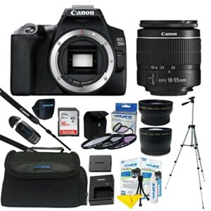 eos 250d 24.1mp 4k digital slr camera +sunshine all you need kit