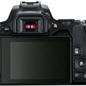 EOS 250D 24.1MP 4K Digital SLR Camera +Sunshine All You Need KIT