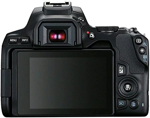 EOS 250D 24.1MP 4K Digital SLR Camera +Sunshine All You Need KIT