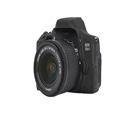 DYOSEN Digital Camera EOS 750D DSLR Camera EF-S 18-55mm F/3.5-5.6 is STM Lens Digital Camera Photography (Size : with 18-55mm Lens)