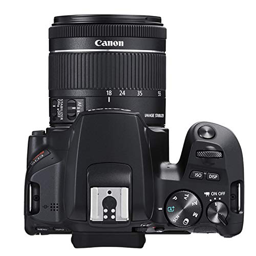 Rebel SL3 DSLR Camera w/EF-S 18-55mm F/4-5.6 is STM Lens + 75-300mm F/4-5.6 III Lens + 50mm f/1.8 STM Lens + 420-800mm Super Telephoto Lens + 128GB Memory (42pc Extreme Bundle)