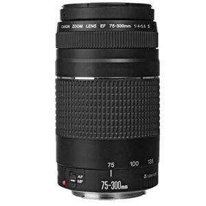 Rebel SL3 DSLR Camera w/EF-S 18-55mm F/4-5.6 is STM Lens + 75-300mm F/4-5.6 III Lens + 50mm f/1.8 STM Lens + 420-800mm Super Telephoto Lens + 128GB Memory (42pc Extreme Bundle)