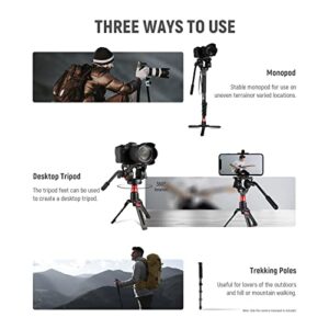 NEEWER Professional Camera Monopod with Feet, 70.5"/179cm Telescopic Portable Aluminum Travel Monopod & Pan Tilt Fluid Head & Removable Tripod Base for DSLR Camera Camcorder, Max Load 13.2lb/6Kg, GM76