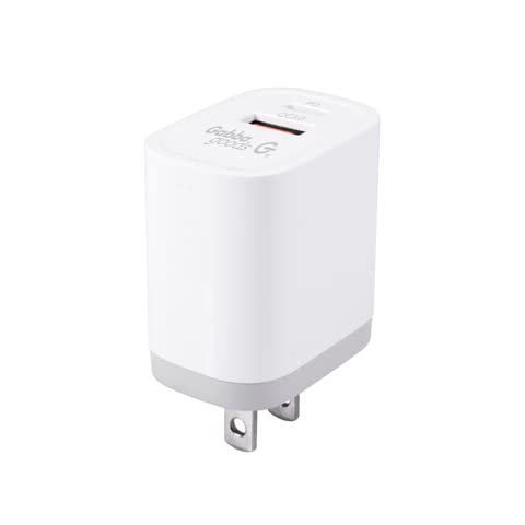 Gabba Goods 18W USB C Wall Charger, Dual Port Fast PD+Quick Charge 3.0 Block Plug Compatible with iPhone 13 12 11 Pro Max SE/XR/X iPad,USB C Power Adapter for iPhone 13/12 13 Pro Max 13 Mini 18 watts