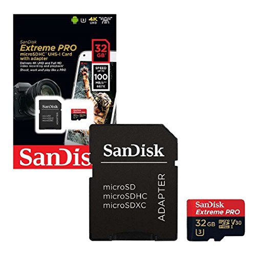 32GB SanDisk Extreme Pro (Ten Pack) 4K Micro Memory Card (SDSQXCG-032G-GN6MA) Class 10 U3 V30 A1 32G MicroSD HC SDHC Bundle with Everything But Stromboli Card Reader