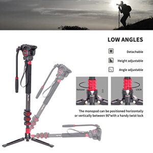 Avella CD324 Carbon Fiber Video Monopod Kit, with Fluid Head and Removable feet, 71 Inch Max Load 13.2 LB for Canon Nikon Sony Olympus Panasonic DSLR Camera