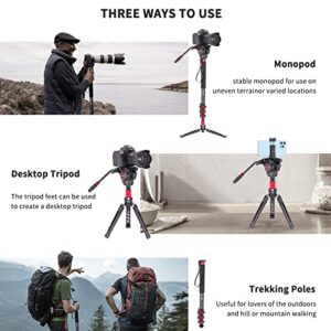 Avella CD324 Carbon Fiber Video Monopod Kit, with Fluid Head and Removable feet, 71 Inch Max Load 13.2 LB for Canon Nikon Sony Olympus Panasonic DSLR Camera