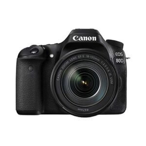 Canon Digital SLR Camera Body [EOS 80D] and EF-S 18-135mm f/3.5-5.6 Image Stabilization USM Lens with 24.2 Megapixel (APS-C) CMOS Sensor and Dual Pixel CMOS AF (Black)