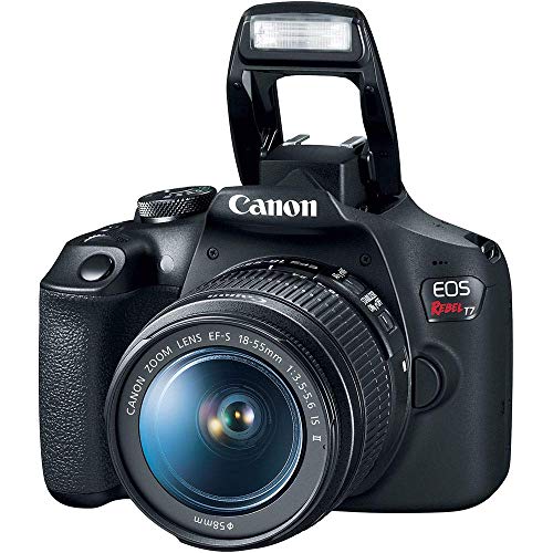 Canon EOS Rebel T7 DSLR Camera with 18-55mm and 75-300mm Lenses (2727C021) + 4K Monitor + Pro Headphones + Pro Mic + 2 x 64GB Memory Card + Corel Photo Software + Pro Tripod + More (Renewed)