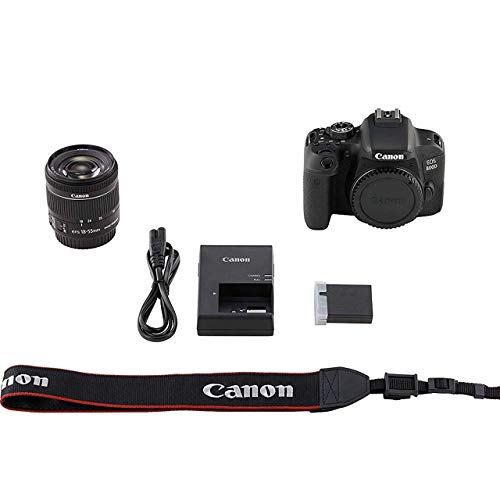 Canon EOS 800D / Rebel T7i w/Canon EF-S 18-55mm F/4-5.6 is STM Zoom Lens & Professional Accessory Bundle W/ 128GB Memory Card & Back-Pack Case & Spare Battery & More (Renewed)