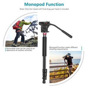 Neewer 2-in-1 Aluminum Alloy Camera Tripod Monopod 71.2"/181 cm with 1/4 and 3/8 inch Screws Fluid Drag Pan Head and Carry Bag for Nikon Canon DSLR Cameras Video Camcorders Load up to 17.6 pounds