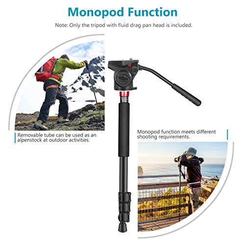 Neewer 2-in-1 Aluminum Alloy Camera Tripod Monopod 71.2"/181 cm with 1/4 and 3/8 inch Screws Fluid Drag Pan Head and Carry Bag for Nikon Canon DSLR Cameras Video Camcorders Load up to 17.6 pounds