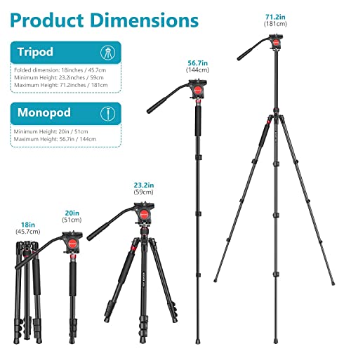 Neewer 2-in-1 Aluminum Alloy Camera Tripod Monopod 71.2"/181 cm with 1/4 and 3/8 inch Screws Fluid Drag Pan Head and Carry Bag for Nikon Canon DSLR Cameras Video Camcorders Load up to 17.6 pounds