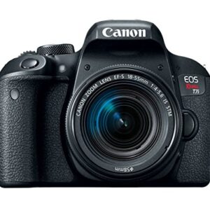 Canon EOS Rebel T7i EF-S 18-55 is STM Kit (Renewed)