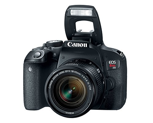 Canon EOS Rebel T7i EF-S 18-55 is STM Kit (Renewed)