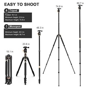 VICIALL 80'' Tripod, Camera Tripod for DSLR, Compact Aluminum Tripod with 360 Degree Ball Head and 8kgs Load for Phone, Camera, Travel and Work