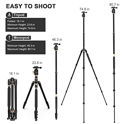 VICIALL 80'' Tripod, Camera Tripod for DSLR, Compact Aluminum Tripod with 360 Degree Ball Head and 8kgs Load for Phone, Camera, Travel and Work