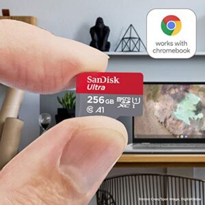 SanDisk 256GB Ultra microSDXC UHS-I Card for Chromebooks - Certified Works with Chromebooks - SDSQUAC-256G-GN6FA